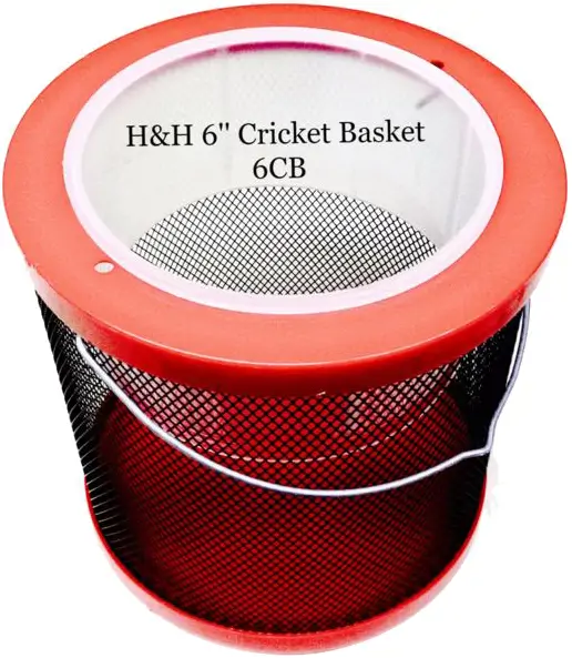 H H LURE WIRE CRICKET BUCKET 6in RED/BLACK