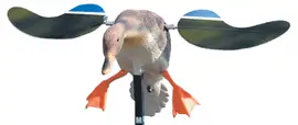 MOJO BABY DRAKE DECOY 6v